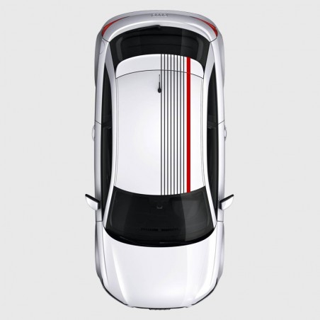 Adhesive 8 Thin Strips with a Wide Edging Strip for Audi's Roof